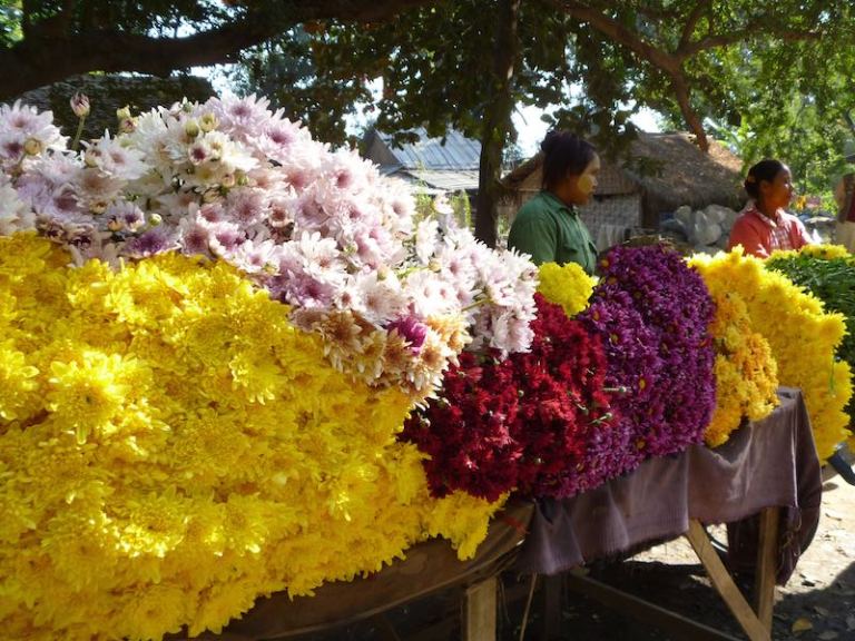 Flower market near Mandalay, Myanmar – 14 Weeks Worth of Socks